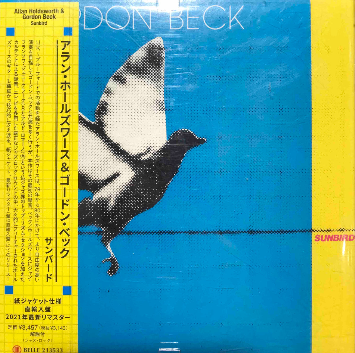 Gordon Beck ‎– Sunbird – Surface Records